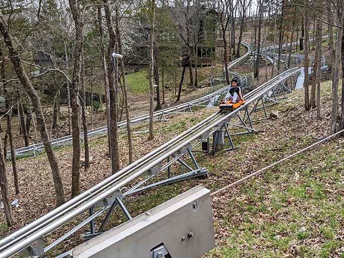 The track weaves through trees like nature's own roller coaster, minus the long lines and overpriced snacks.