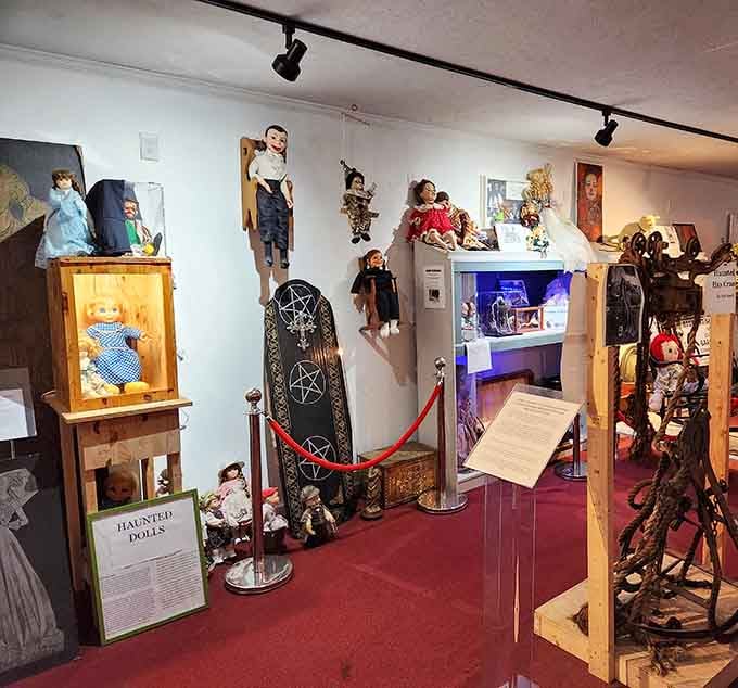 Red velvet ropes protecting haunted dolls from curious visitors, because apparently some toys really don't want to be played with anymore.