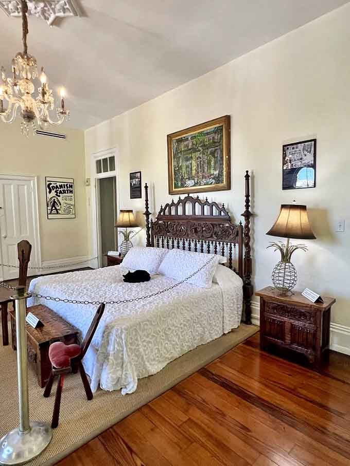 Even the bedroom gets the royal feline treatment, complete with a cat testing the mattress quality.