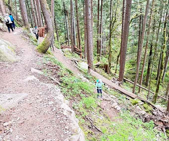 When the trail gets steep, just remember: every uphill step earns you bragging rights at your next dinner party.