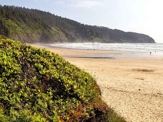 Cape Lookout's wild beach stretches for miles, perfect for contemplating life's big questions or finding cool rocks.