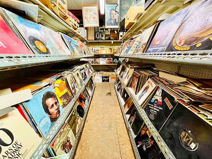 Vinyl lovers, prepare yourselves: this isn't just browsing, it's a full-contact sport with musical history.