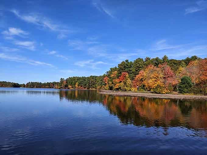 When fall foliage reflects perfectly in still water, you've found nature's mirror and your new screensaver simultaneously.