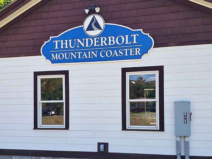 The welcoming committee at Thunderbolt, where adventure officially begins and second thoughts officially end.