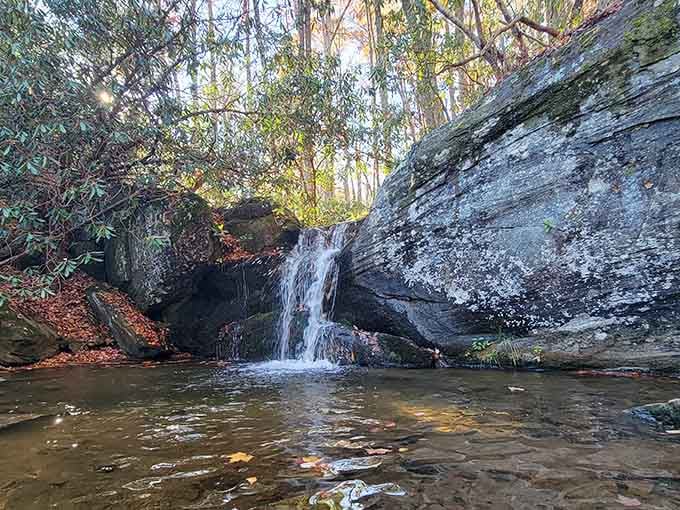 Even the smaller cascades here put on a show worthy of a standing ovation.