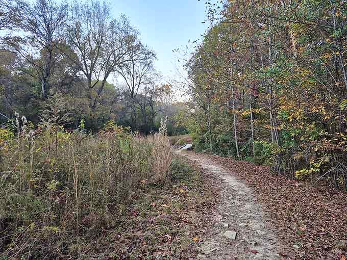 These winding paths through Lancaster's woods prove that getting lost is sometimes the whole point of going.
