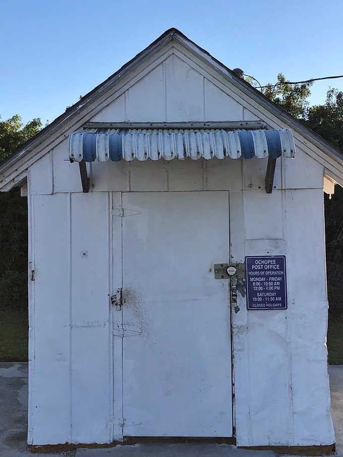 That charming awning made from old irrigation pipes adds character you won't find at modern facilities.