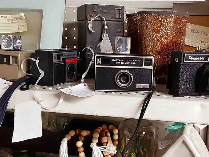 Vintage cameras that captured life before filters made everyone look like they had perfect skin.