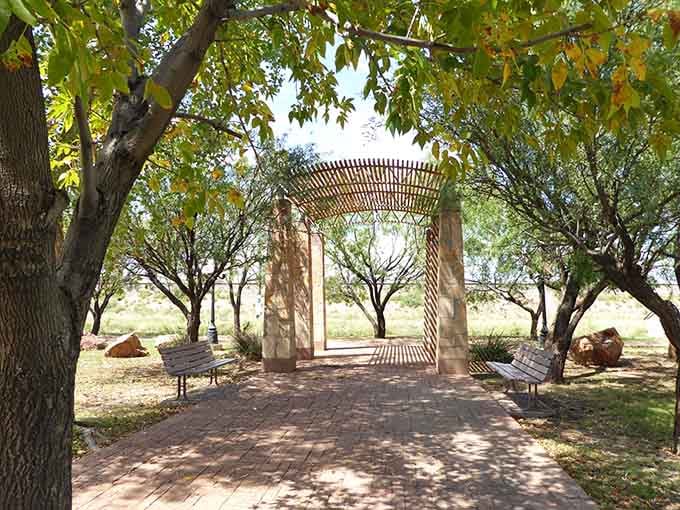 Shaded benches under autumn leaves offer rare respite in the desert, a peaceful oasis for quiet contemplation.