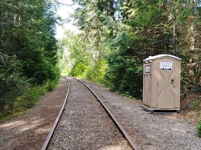 Even the turnaround point feels like a destination, giving you time to breathe in the forest air.