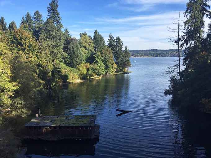 Peaceful coves and floating docks remind you that waterfront living is absolutely worth the ferry commute.