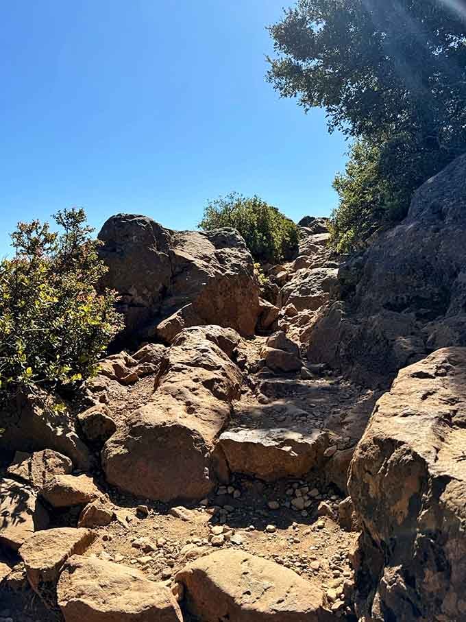 These ancient stone steps have seen more footsteps than a busy diner, each one worth the climb.
