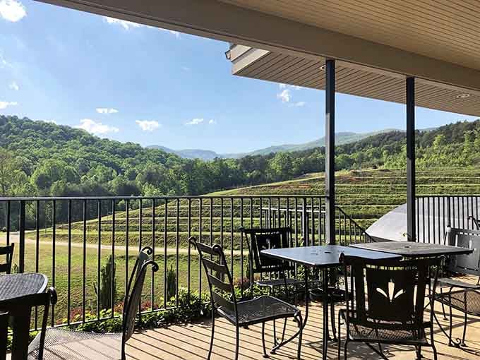 This view pairs perfectly with literally any wine they're pouring, making every sip taste like a vacation.