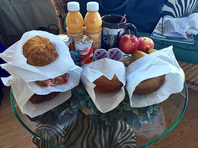 Breakfast served on a zebra-print platter because regular dishes are apparently too mainstream for an elephant ranch experience.