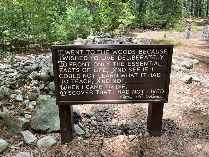 Thoreau's words hit different when you're standing exactly where he wrote them, contemplating your own life choices.