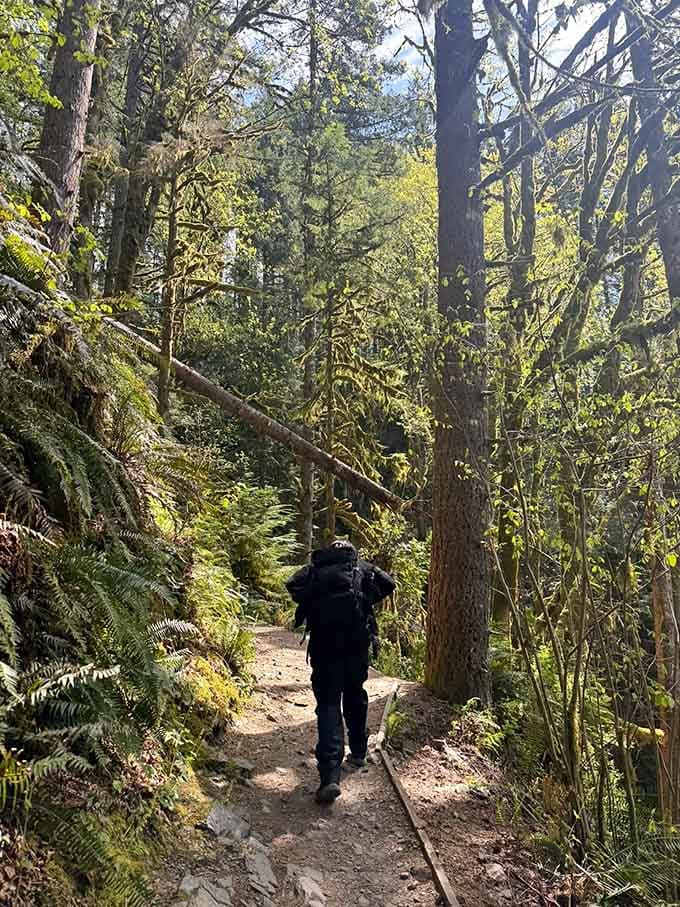 The trail ahead whispers promises of waterfalls while your fitness tracker starts getting ambitious about your step count.