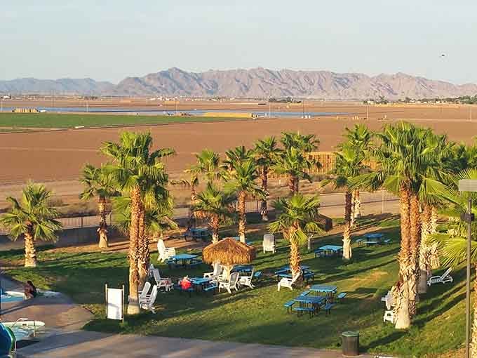 Palm trees framing mountain vistas with a lazy river below proves Arizona knows how to do oasis right.