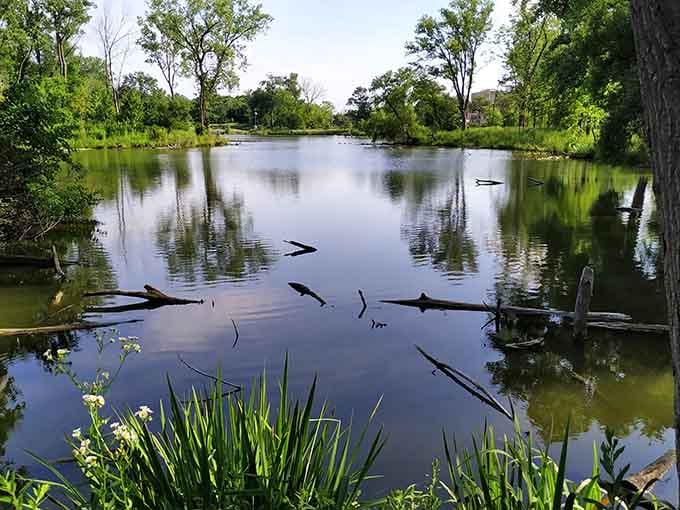 Water so still it doubles as nature's mirror, reflecting trees that have seen decades pass by.