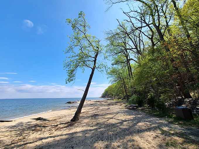This peaceful stretch of Potomac shoreline makes Virginia Beach look like Times Square on New Year's Eve.