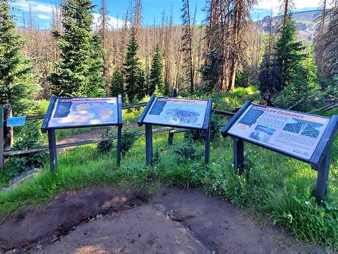 Educational signs that actually make geology fascinating, proving that learning about rocks doesn't have to be boring after all.