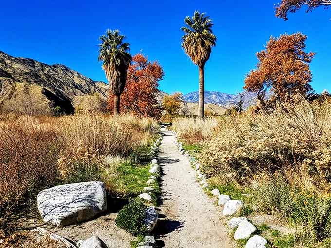 Palm trees and autumn colors together prove that California doesn't follow anyone's rules about seasons.