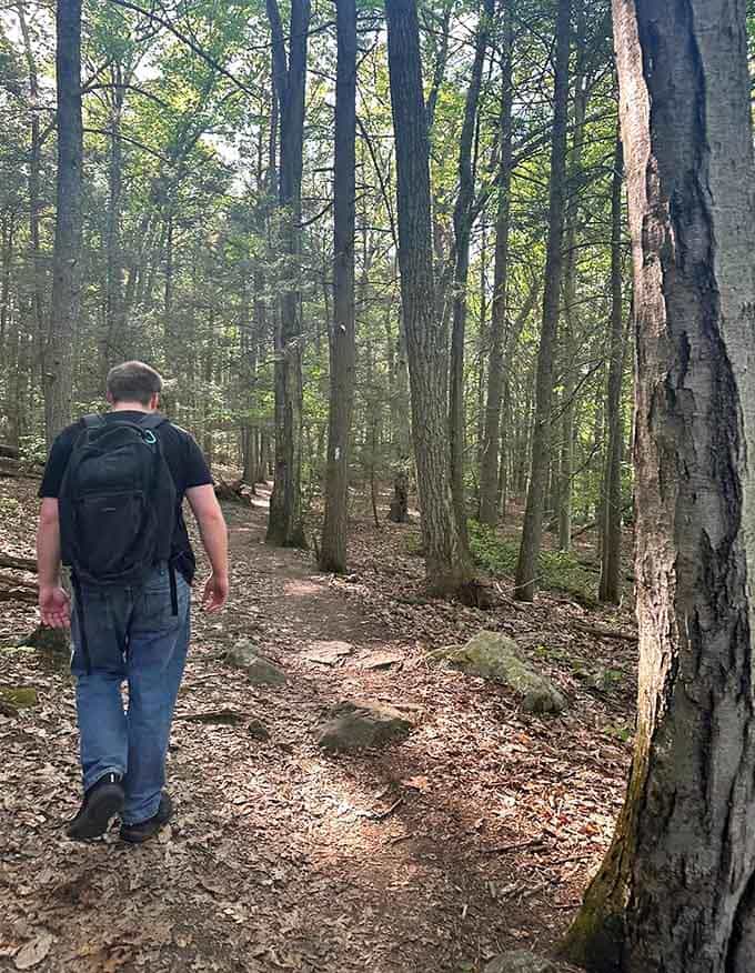 Sometimes the best adventures are the ones hiding in your own backyard, just waiting to be discovered on foot.