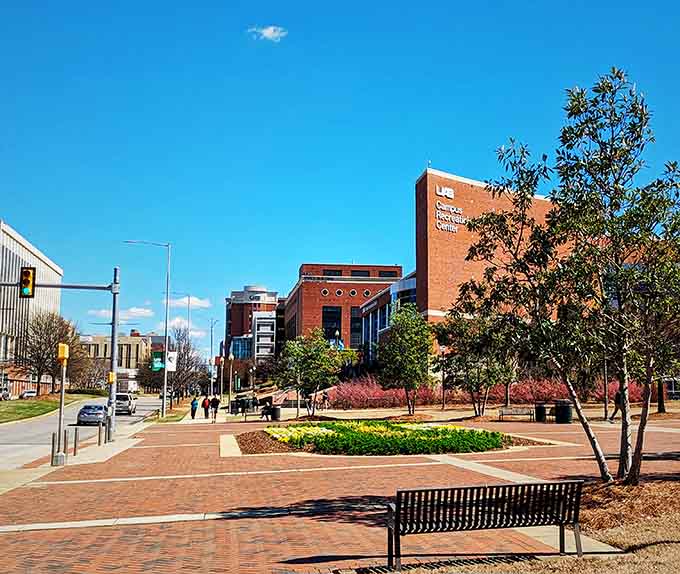 Brick walkways and blooming gardens create an urban oasis that proves cities can have heart and soul.