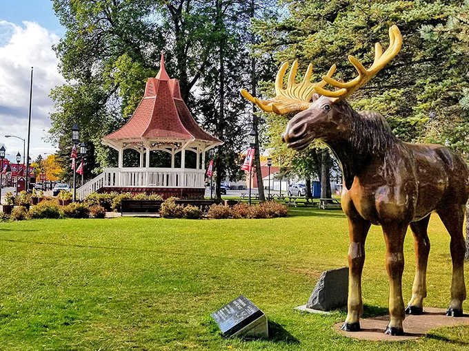 This majestic moose statue stands guard over the town square, antlers gleaming like he's posing for his close-up.