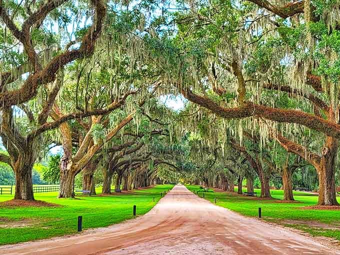 Three centuries of growth created this iconic avenue that's appeared in more films than most actors.