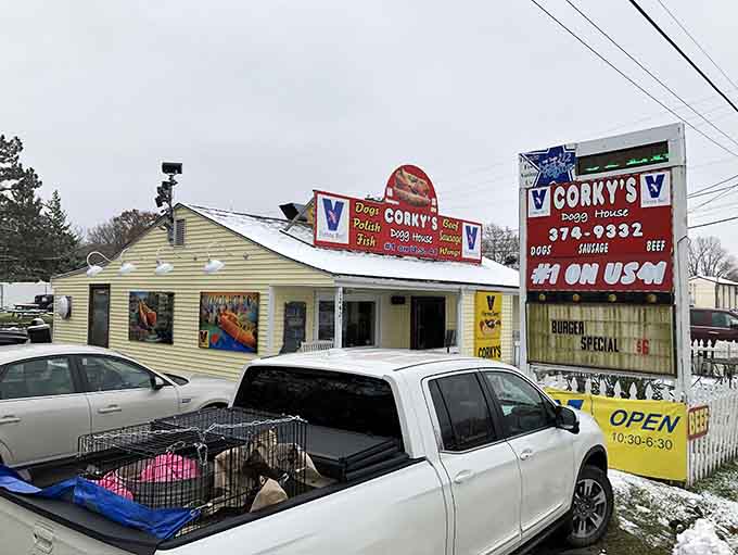 That cheerful yellow building and dancing mascot create more joy than a carnival, and the dogs deliver too.