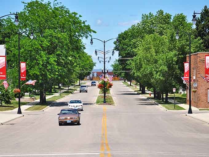 Wide boulevards framed by towering trees create a peaceful corridor where neighbors still wave from passing cars.