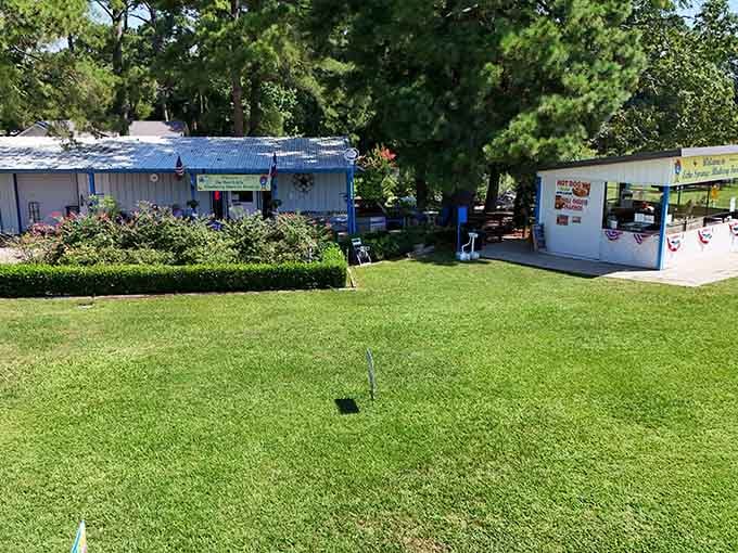 Manicured grounds and covered stations show this farm takes hospitality as seriously as growing perfect blueberries.