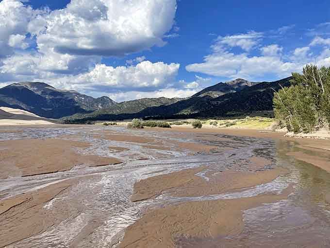 Where mountains kiss desert sand, shallow streams create Colorado's most unexpected beach day without the ocean.
