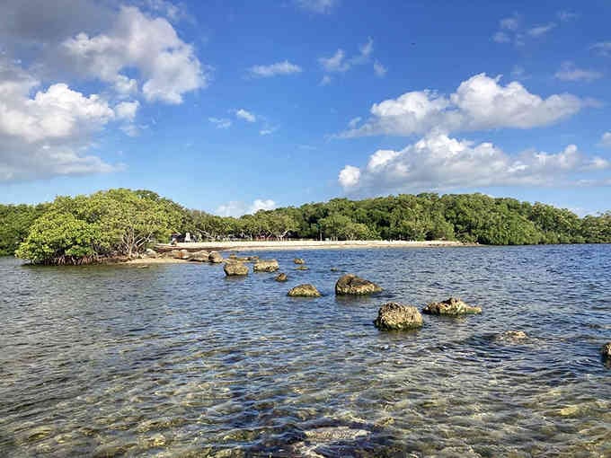 Ancient mangroves frame shallow waters where stepping stones lead to adventures straight out of a nature documentary.