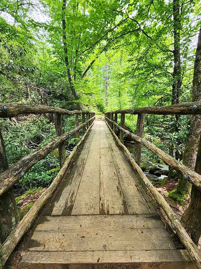 This rustic wooden bridge spans the creek where sunlight filters through leaves like liquid gold pouring down.