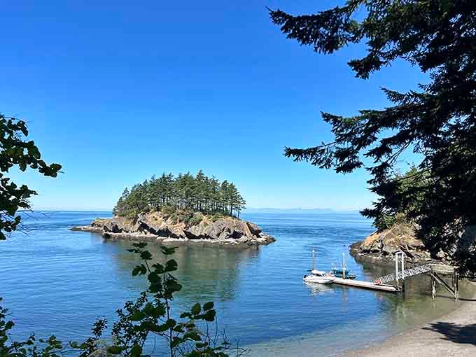 A small tree-covered island rises from the calm blue waters near Matia Island Marine State Park in the San Juan Islands.