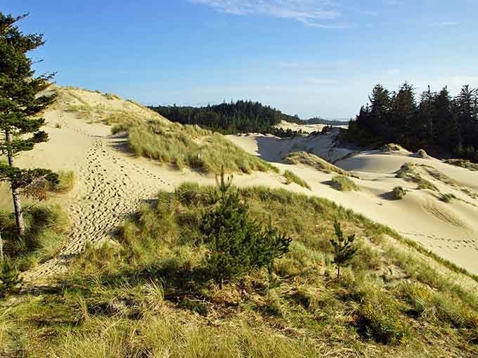 Where the Pacific Coast meets the Sahara, creating a landscape that'll make you check your map twice.