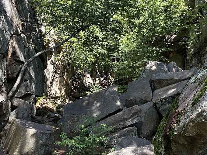 Ancient boulders create a natural obstacle course where moss-covered rocks tower overhead like silent stone guardians from another era.