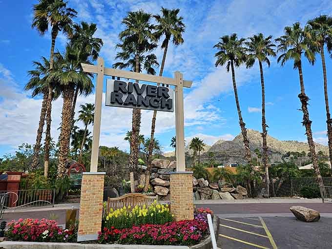 Those towering palms frame the entrance like nature's own welcome committee, inviting you to Western-themed water adventures.
