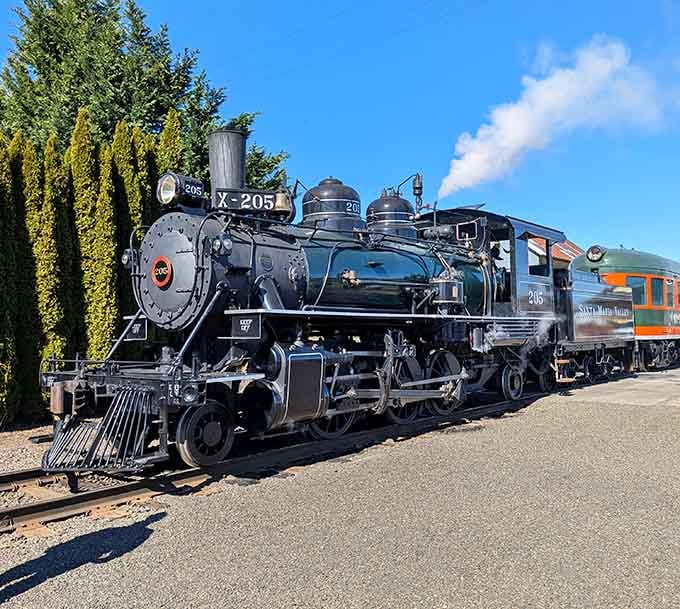 Steam locomotive X-205 gleams like new, proving that good maintenance beats a time machine any day.