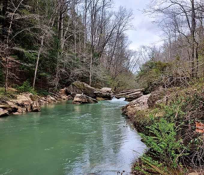 This creek's turquoise waters wind through the wilderness like a ribbon of liquid jade through ancient forest.