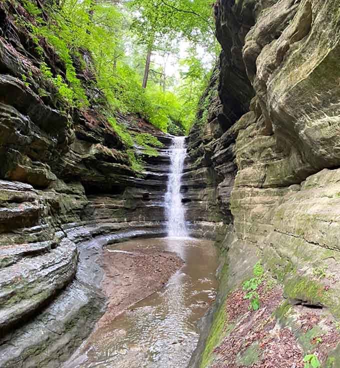 Ancient canyon walls frame a delicate waterfall, proving Illinois has secrets worth hiking for.