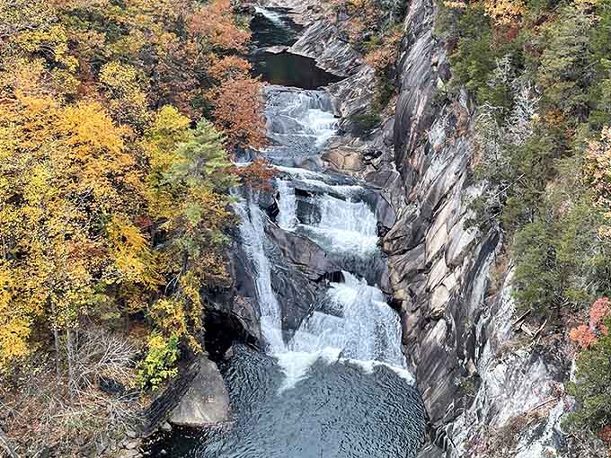 Autumn colors frame this powerful gorge where water has carved stone into a natural masterpiece over millennia.