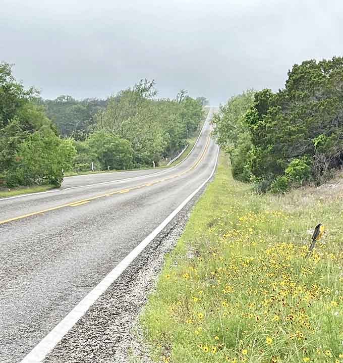 Rolling hills covered in green trees create gentle waves along this peaceful highway that seems to go on forever.
