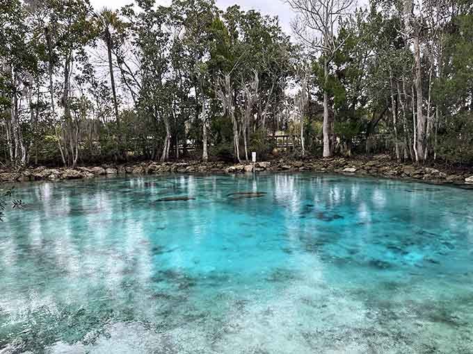 Water so clear and blue it looks Photoshopped, but Mother Nature doesn't need filters to show off her best work.