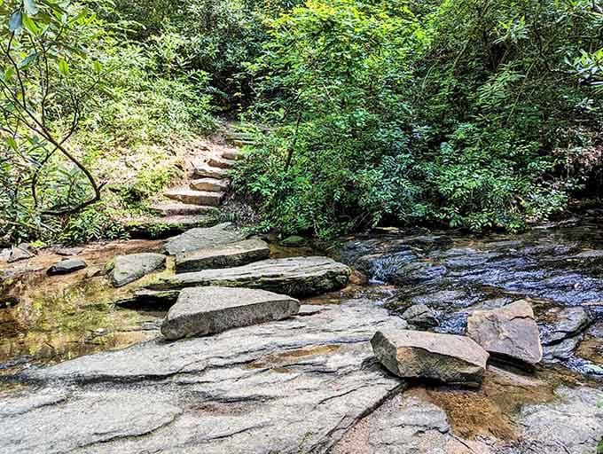 Stone steps crossing the creek make you feel like you're walking through a fairy tale without the talking animals.