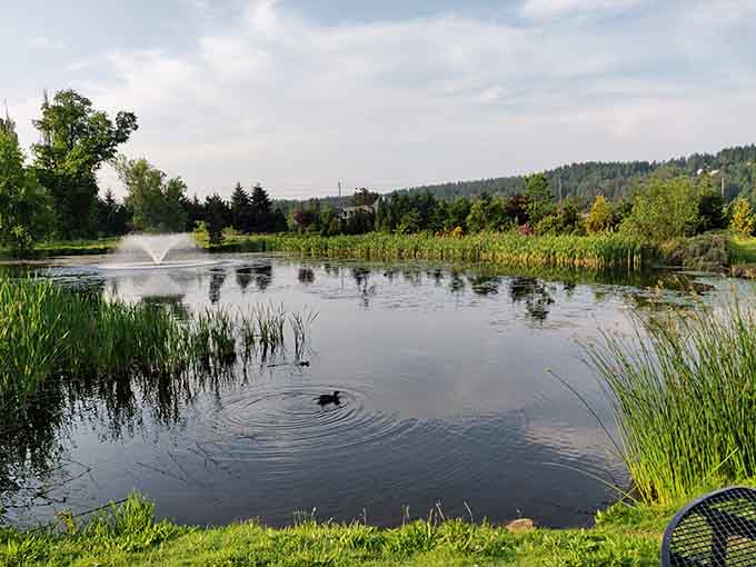 This serene pond reflects the sky like a mirror, offering peaceful moments between tastings at this historic property.