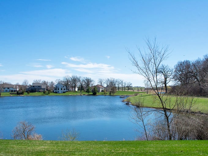 That serene pond reflects the sky like nature's mirror, offering peaceful views that calm your busy mind.