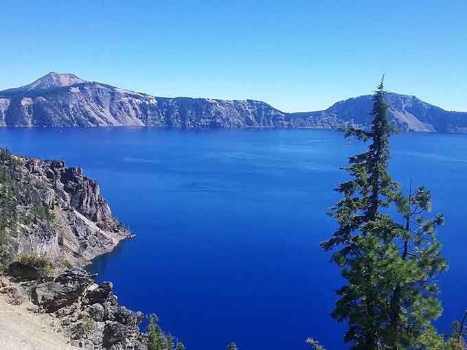 The lone pine tree stands sentinel over water so clear you can practically see yesterday's reflections still floating there.