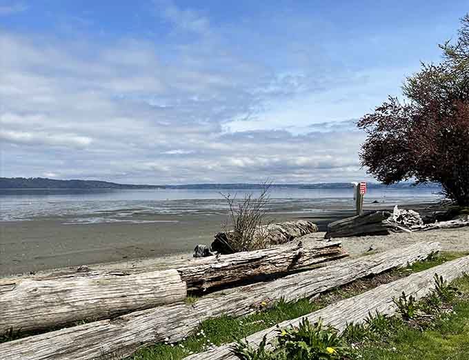 Those weathered driftwood logs have seen more sunsets than most of us&mdash;and they're not done yet.